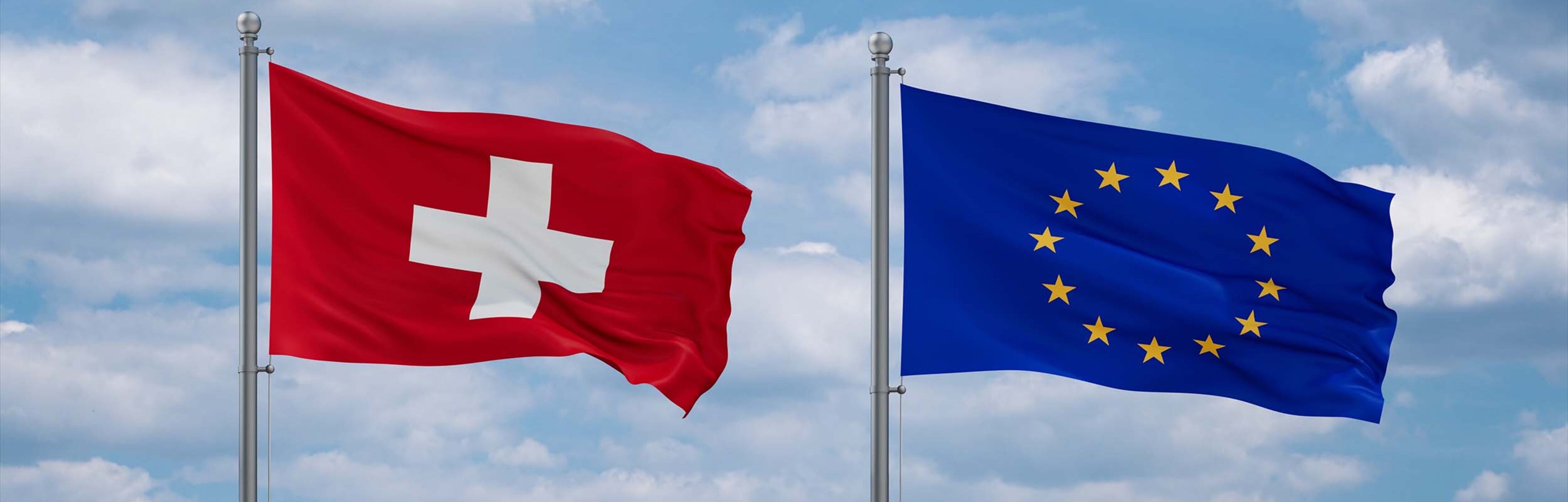 Swiss Engineering STV