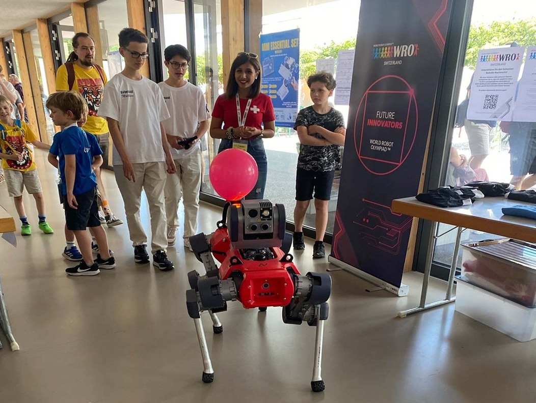 Swiss Engineering STV